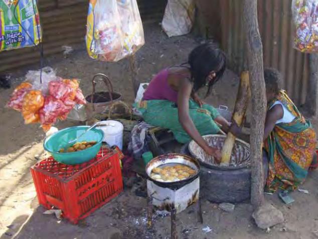 Urban Food Security Series No. 2 : The State of Urban Food Insecurity ...