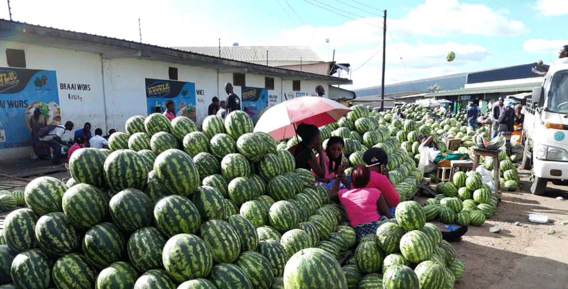 African Urban Research Initiative (AURI) - African Centre for Cities