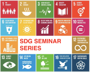 SDG Seminar Series: SDG indicators for health outcomes in South Africa ...