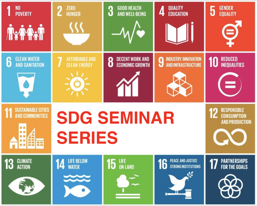 SDG Seminar Series: SDG indicators for health outcomes in South Africa ...