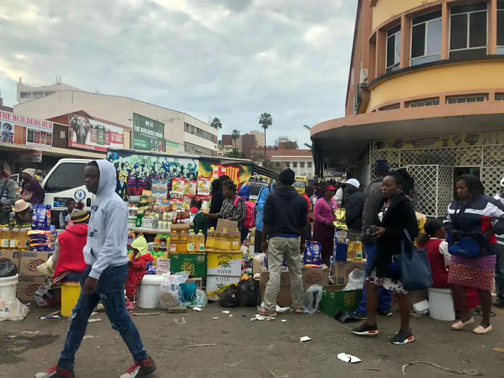 The Transformation of Zimbabwe's Informal Economy: From Petty Trade to ...